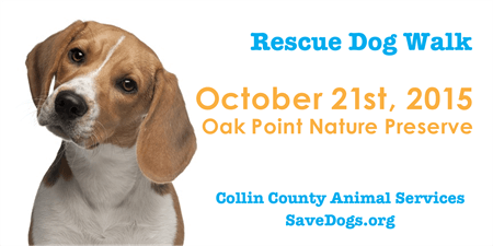 Pet Care Banners, Pet Sitting Banners – EasyBanners.com