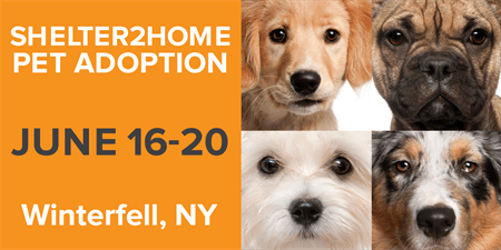 Pet Care Banners, Pet Sitting Banners – EasyBanners.com